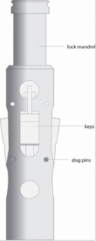 Locking mandrels and landing nipples