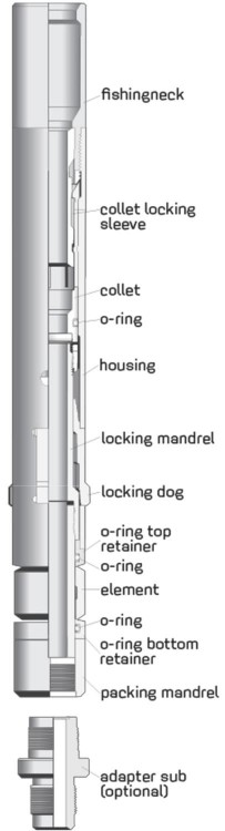 Locking mandrels and landing nipples