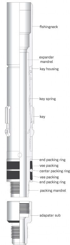Locking mandrels and landing nipples